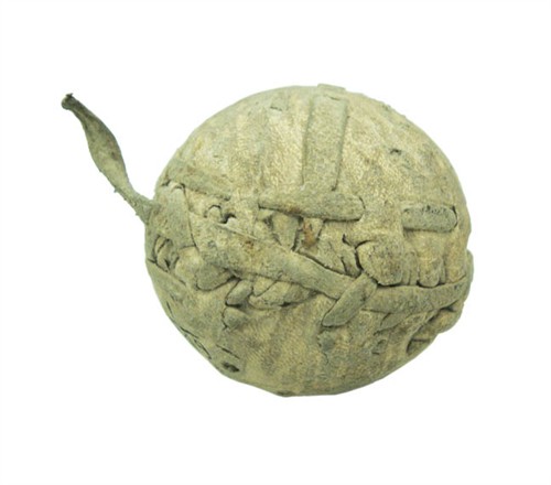 NMAI Ball 1 - Choctaw Nation Cultural Services