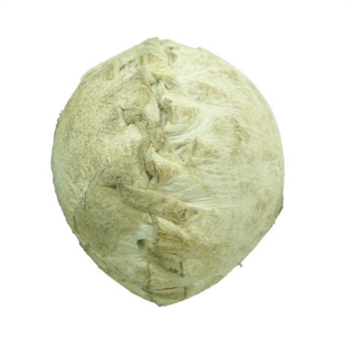 NMAI Ball 2 - Choctaw Nation Cultural Services